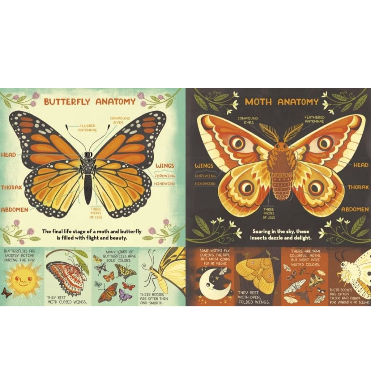 What’s Inside A Caterpillar Cocoon? – Rigby’s Homewares