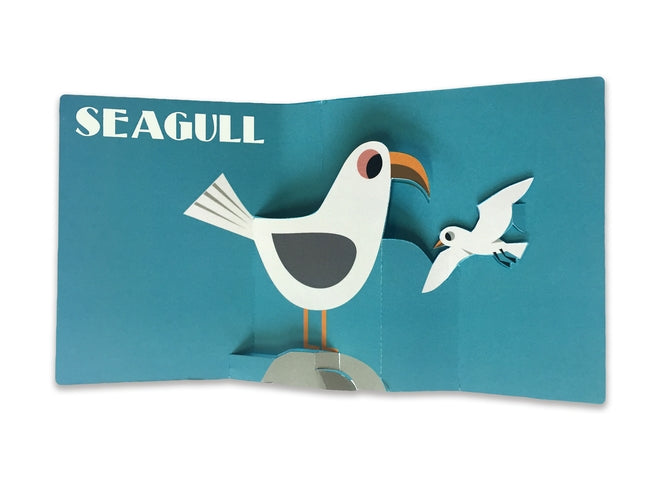 Pop Up - Ocean – Rigby’s Homewares